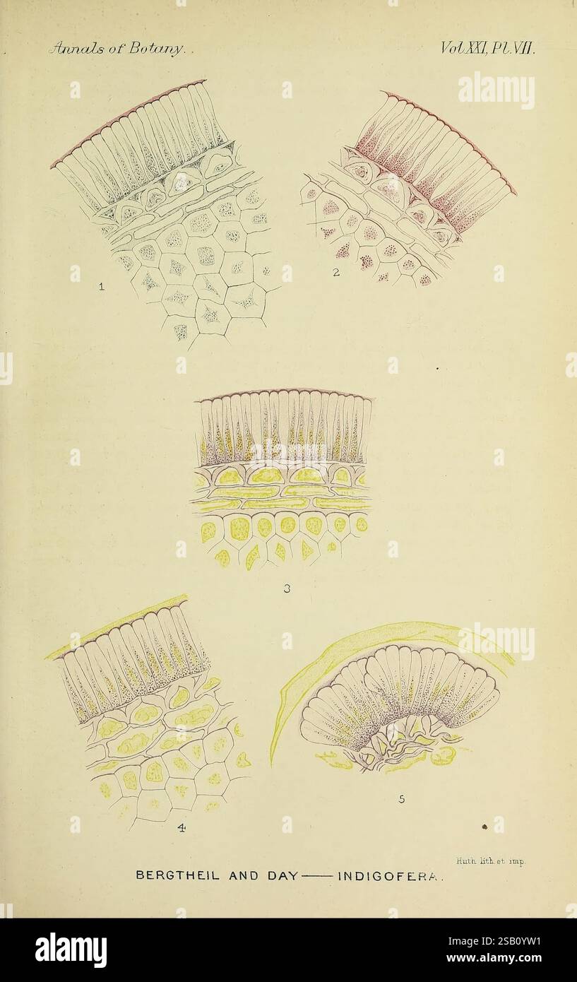 First diagram displays hi-res stock photography and images - Alamy