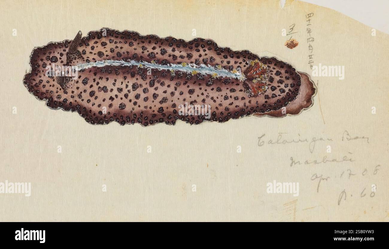 Prominent description notes hi-res stock photography and images - Alamy