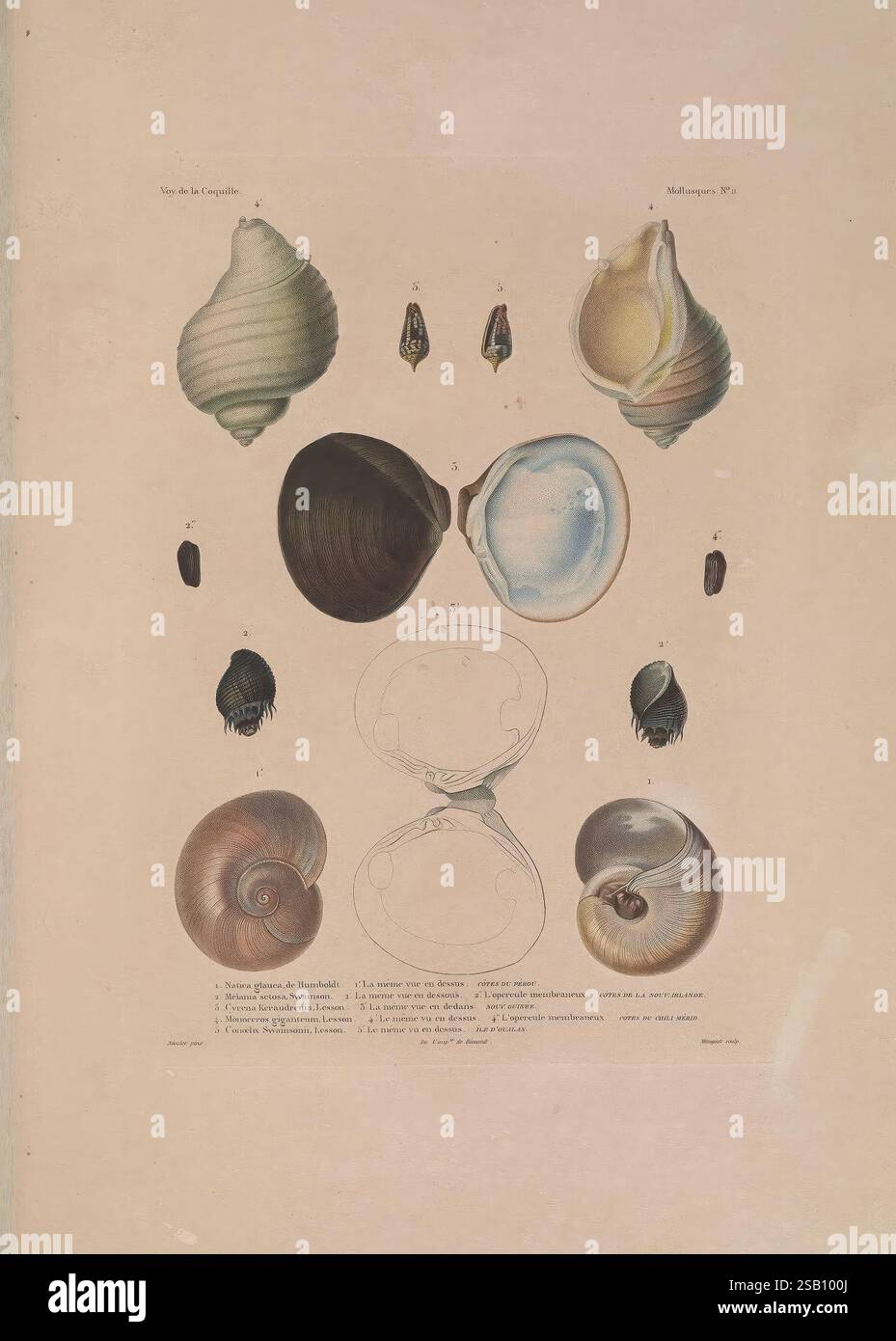 Voyage autour du monde, Paris, Arthus Bertrand, 1825-1830 [i.e. 1838 ...