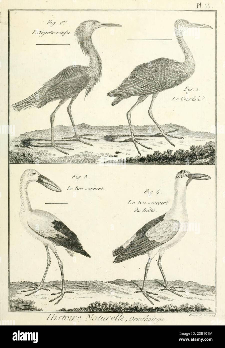 Tableau encyclopédique et méthodique des trois règnes de la nature A ...