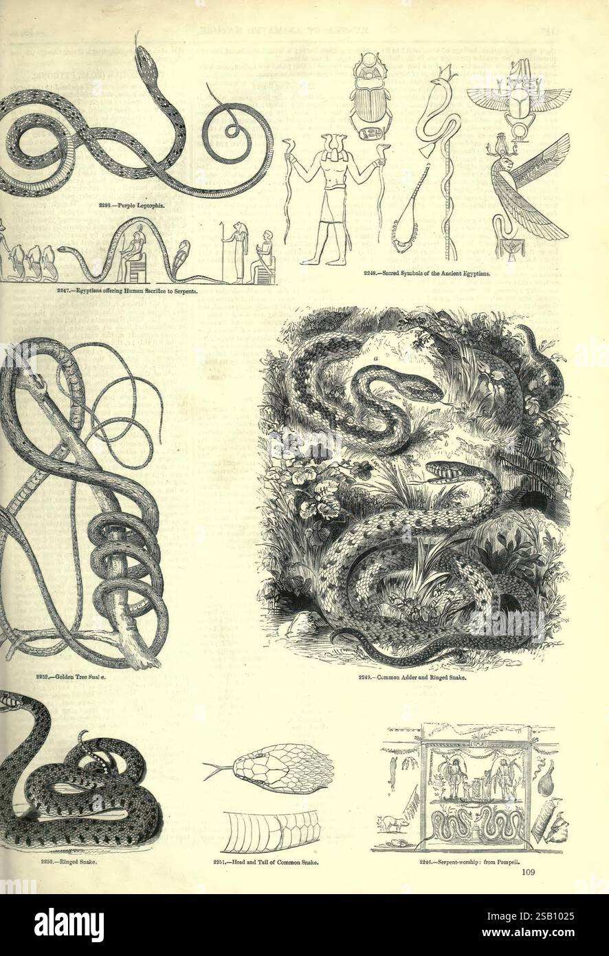 Significance across various cultures hi-res stock photography and ...