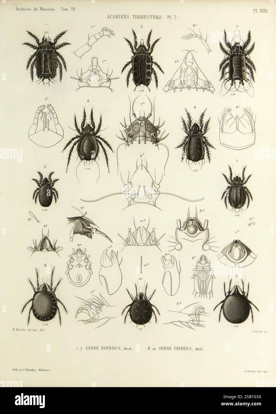 Histoire naturelle des acariens qui se trouvent aux environs de Paris ...