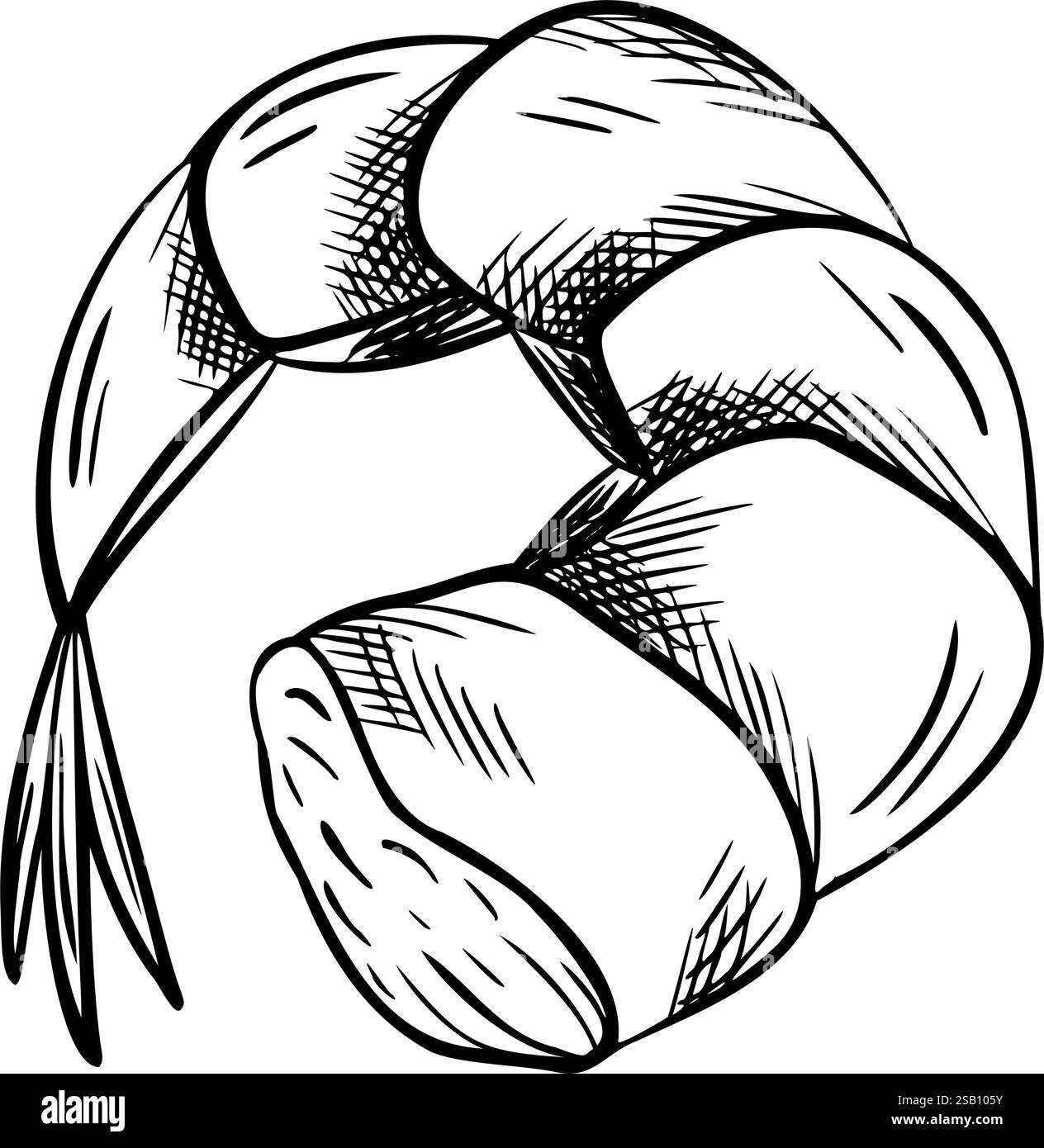 Vector peeled Shrimp Silhouette. Sketch of seafood. Hand Drawn Symbol ...