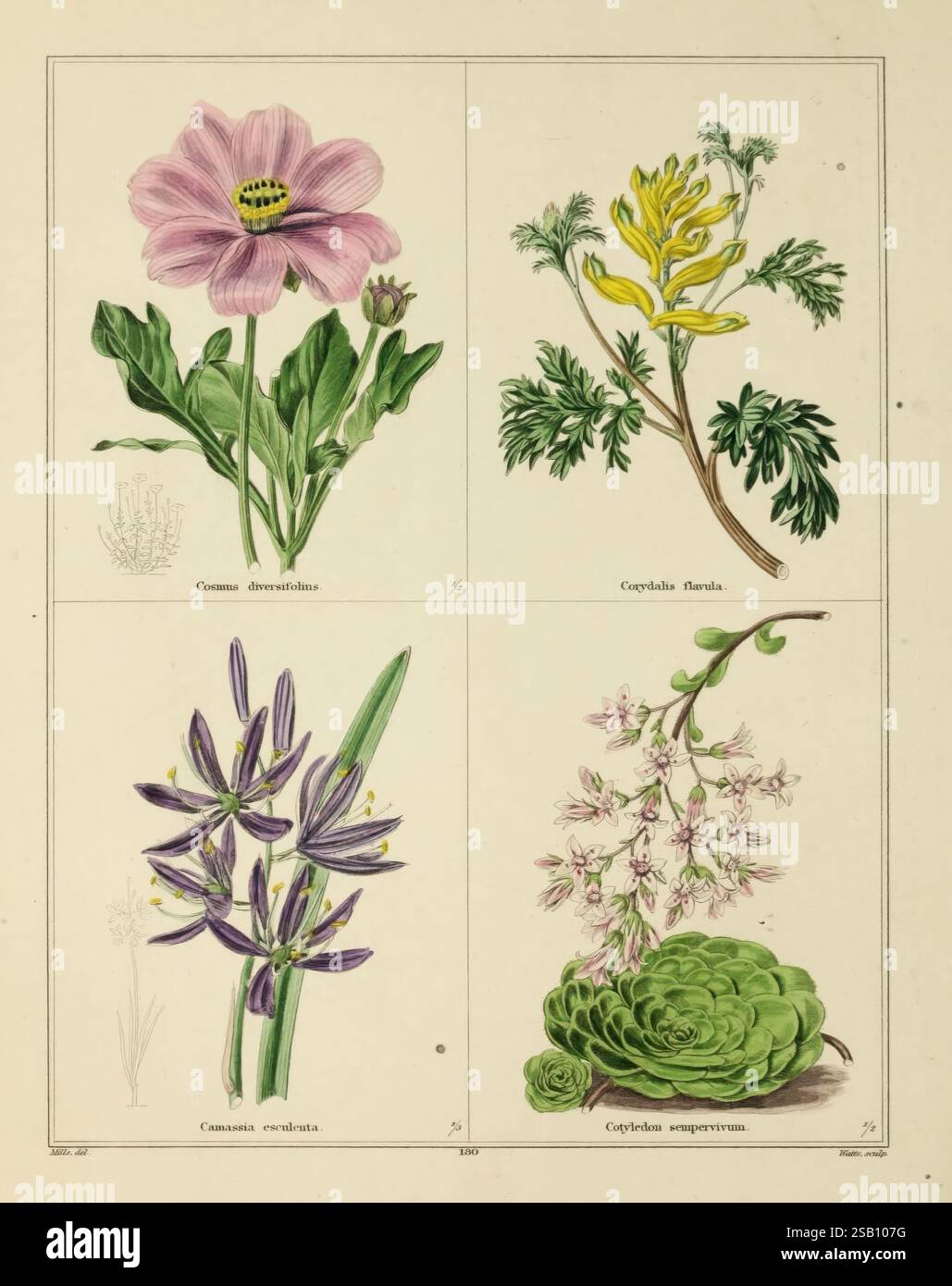 Prominent yellow details stands hi-res stock photography and images - Alamy