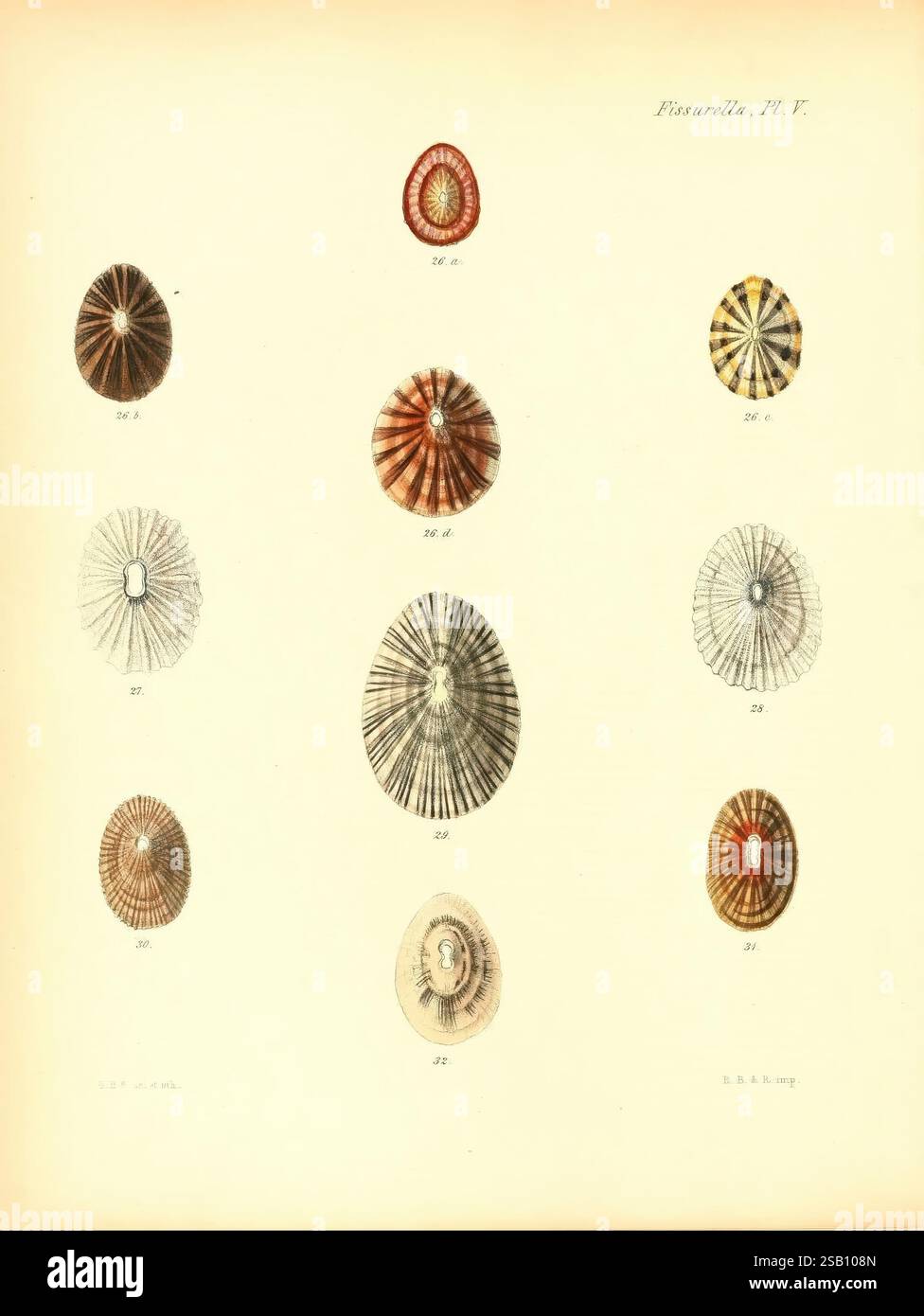 Featuring radial stripes hi-res stock photography and images - Alamy