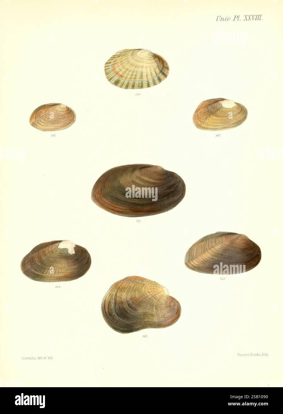 Reflecting individual characteristics hi-res stock photography and ...