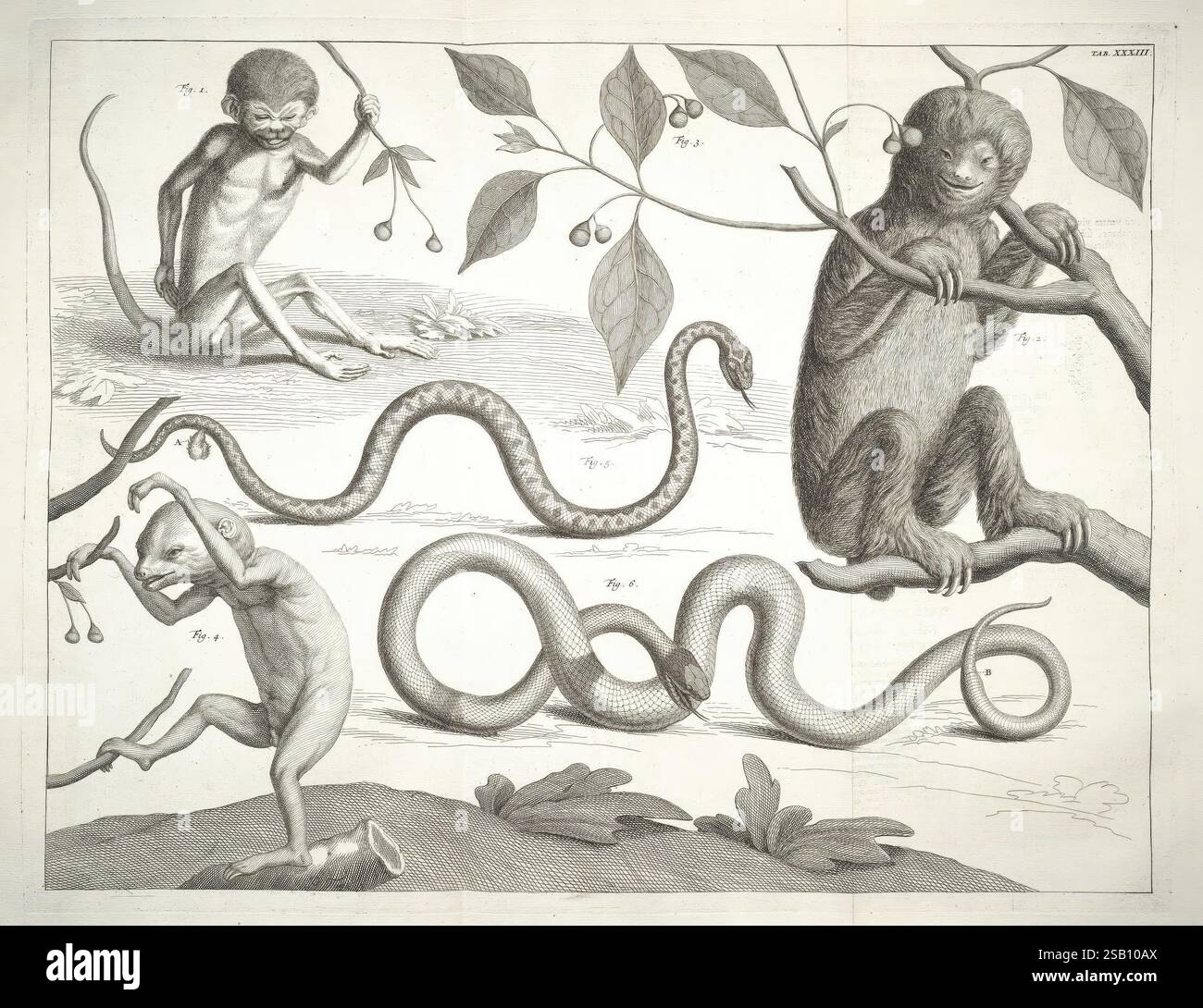 Distinctly humanoid form hi-res stock photography and images - Alamy