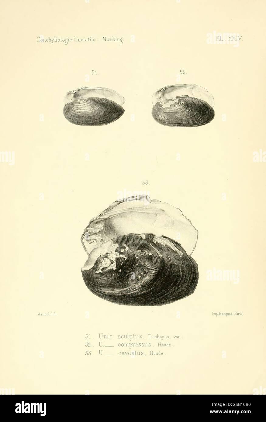 Labeled 51 hi-res stock photography and images - Alamy