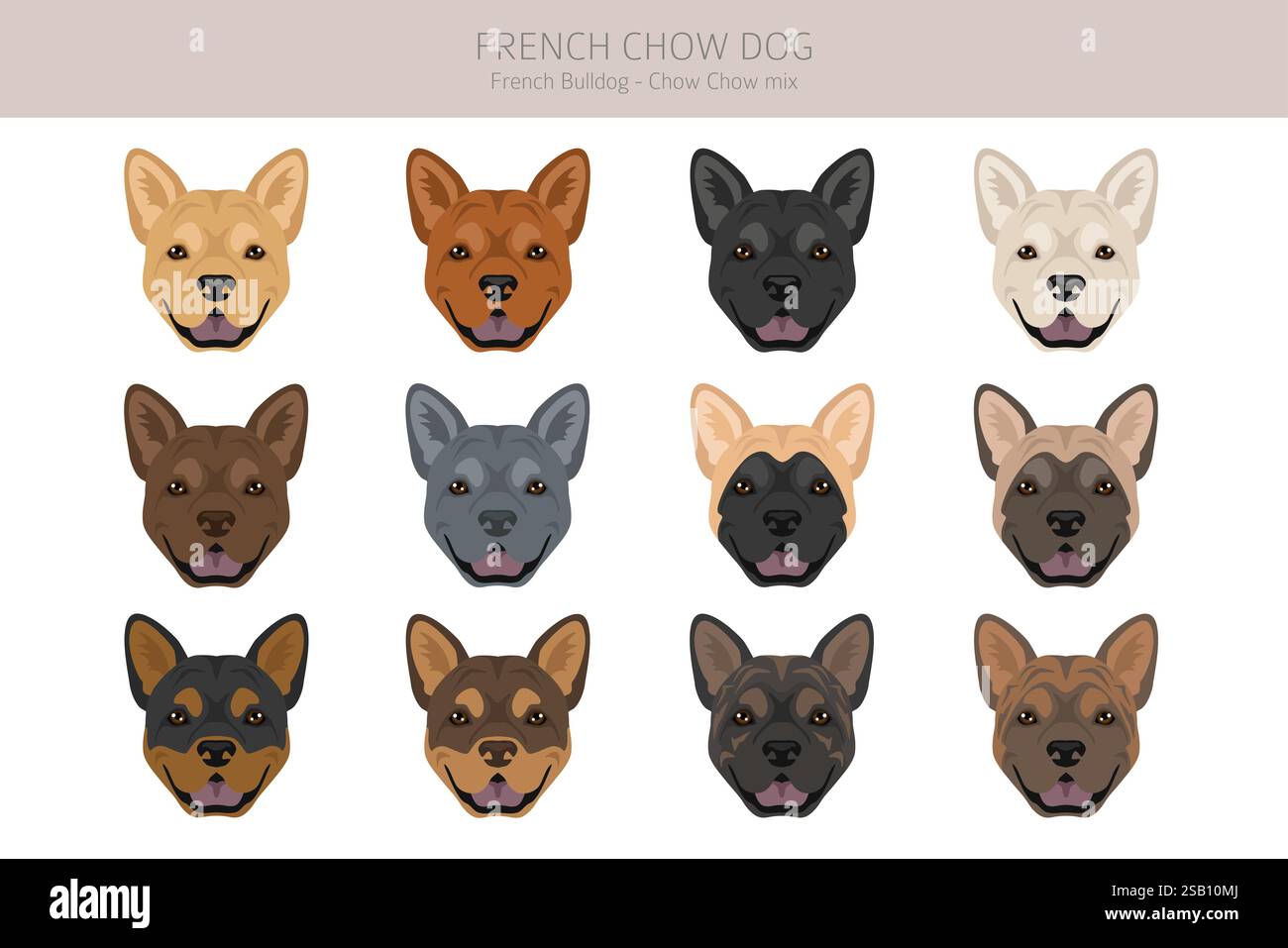 French chow dog clipart. French Bulldog - Chow chow mix. All possible ...