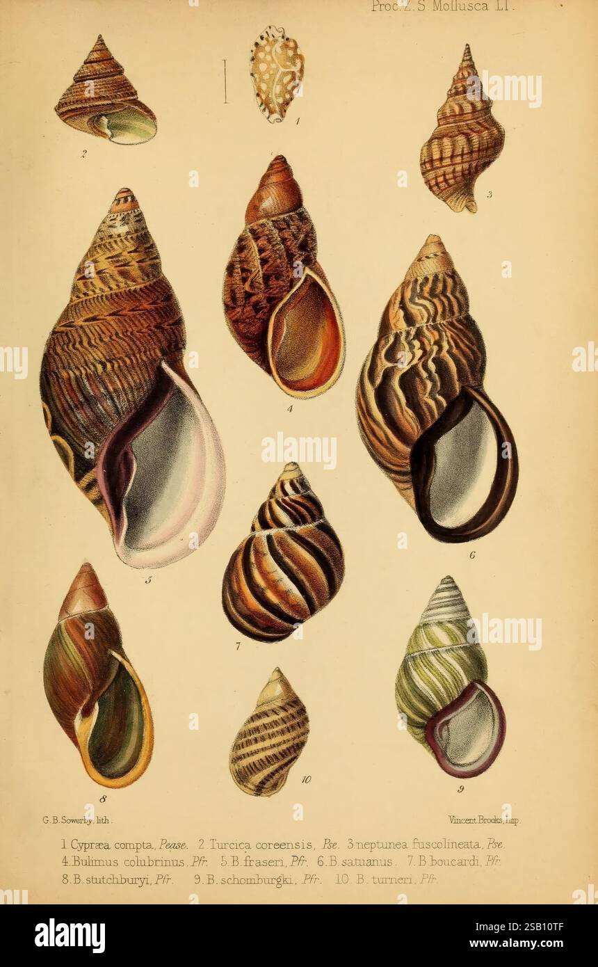 Proceedings of the Zoological Society of London, London, Academic Press ...