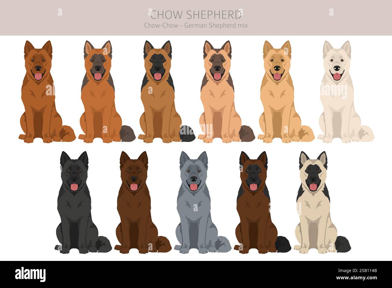 Chow Shepherd mix clipart. Chow chow German Shepherd mix. Different ...