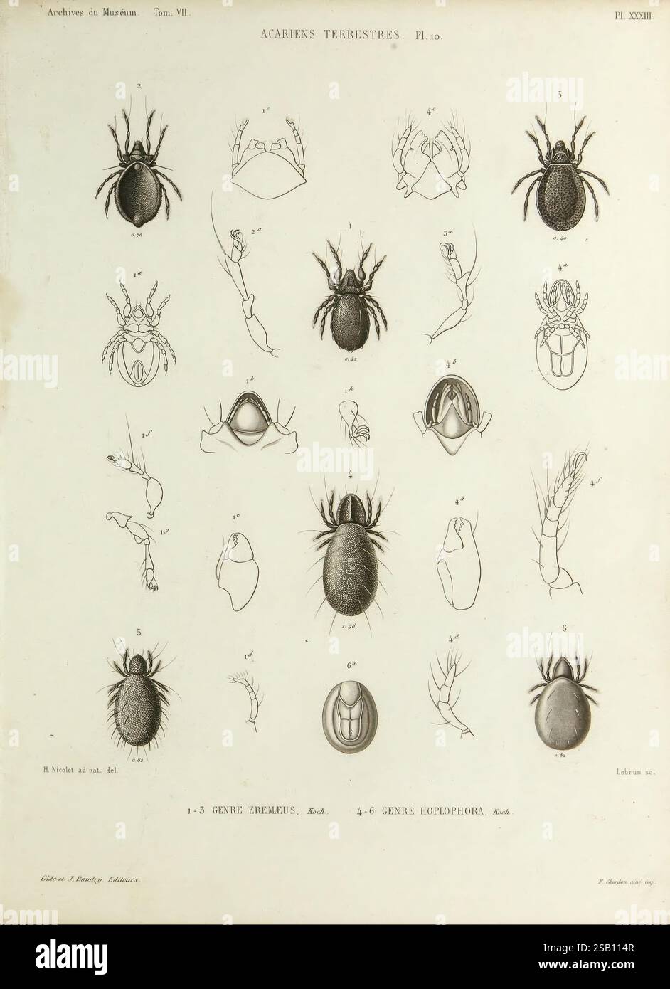 Histoire naturelle des acariens qui se trouvent aux environs de Paris ...