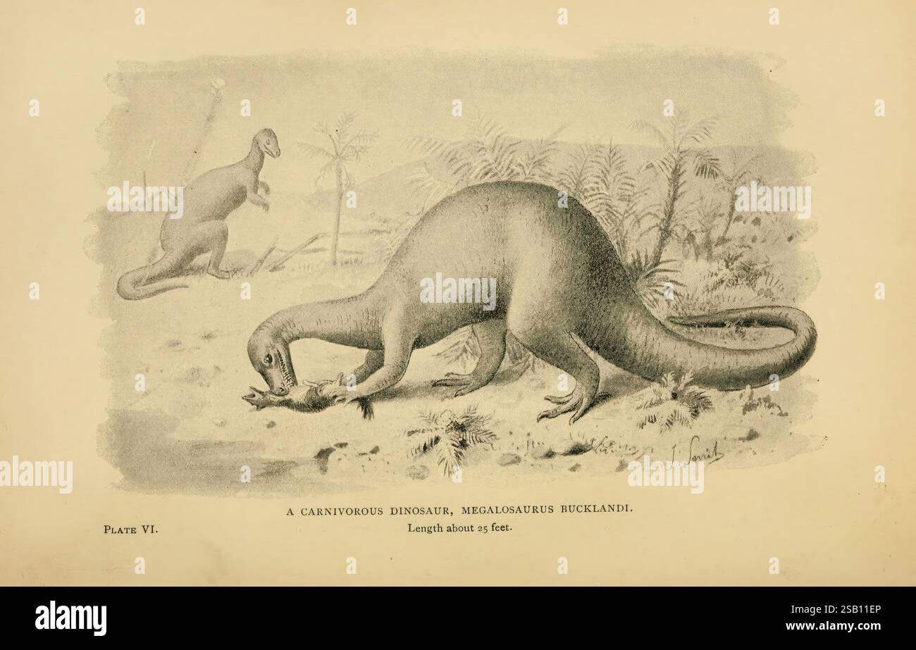 Scene depicts two dinosaurs hi-res stock photography and images - Alamy