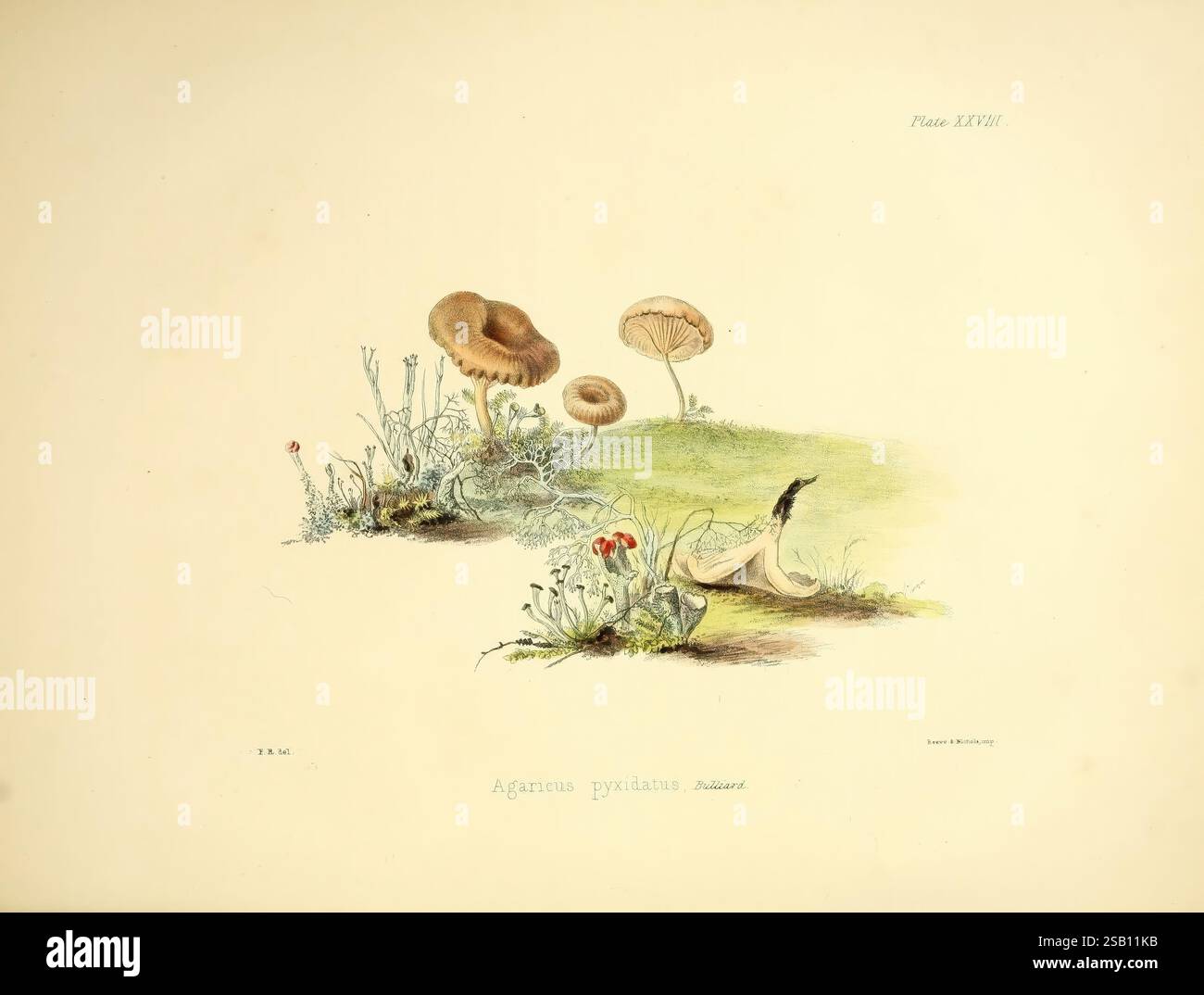 Anna maria hussey women hi-res stock photography and images - Alamy