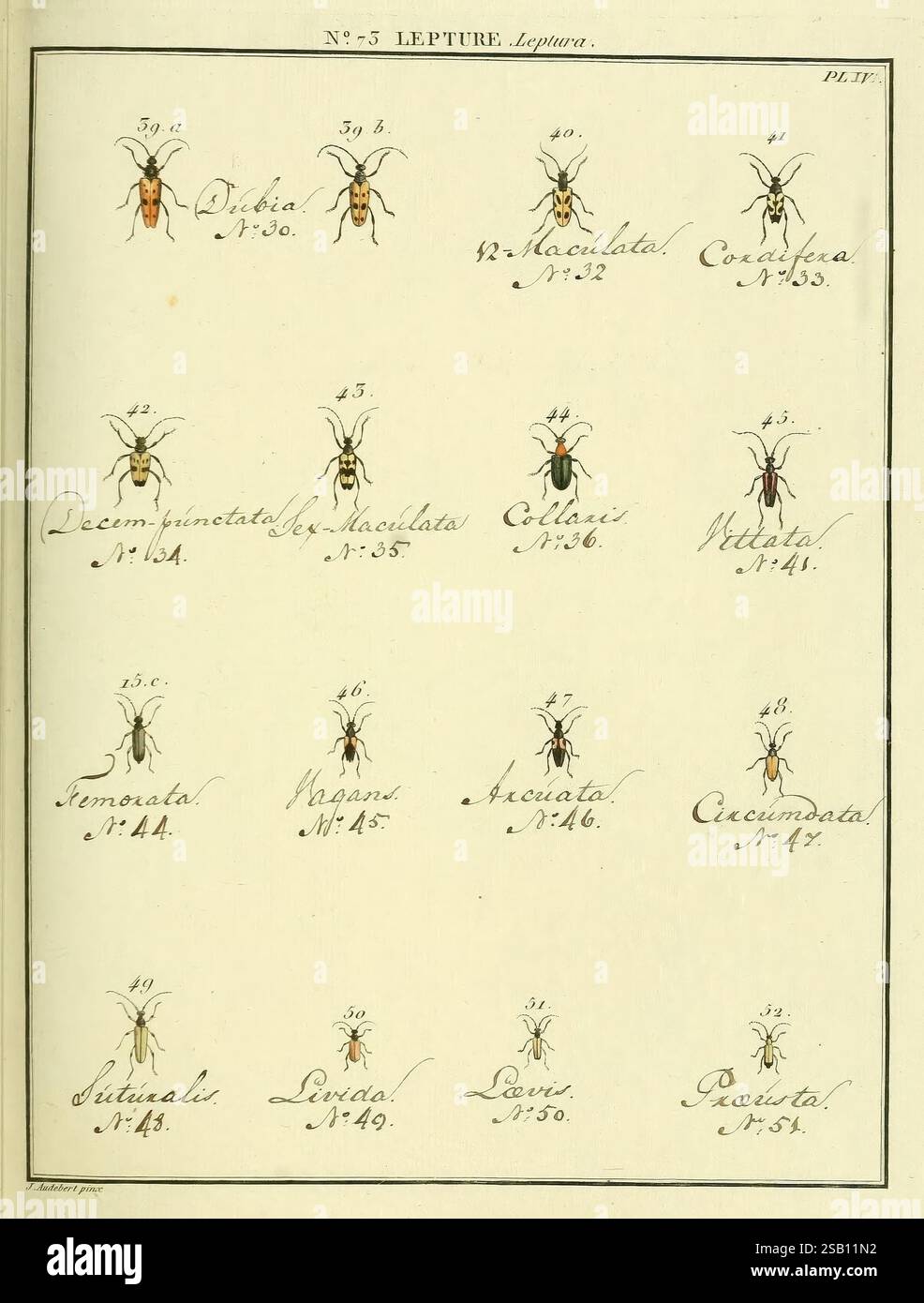 Handwritten identification label alongside hi-res stock photography and ...