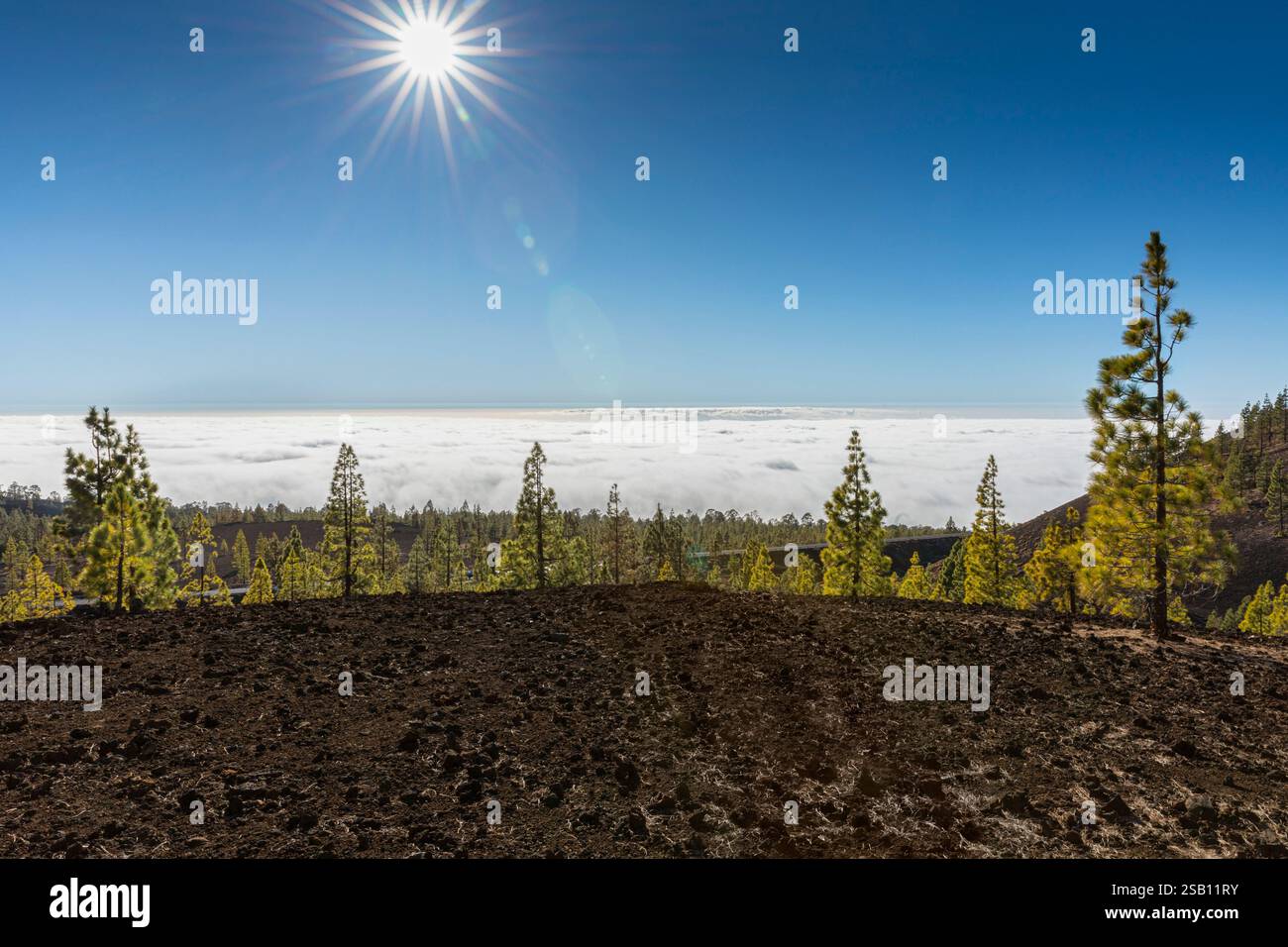 Tenerife national volcano park hi-res stock photography and images - Alamy