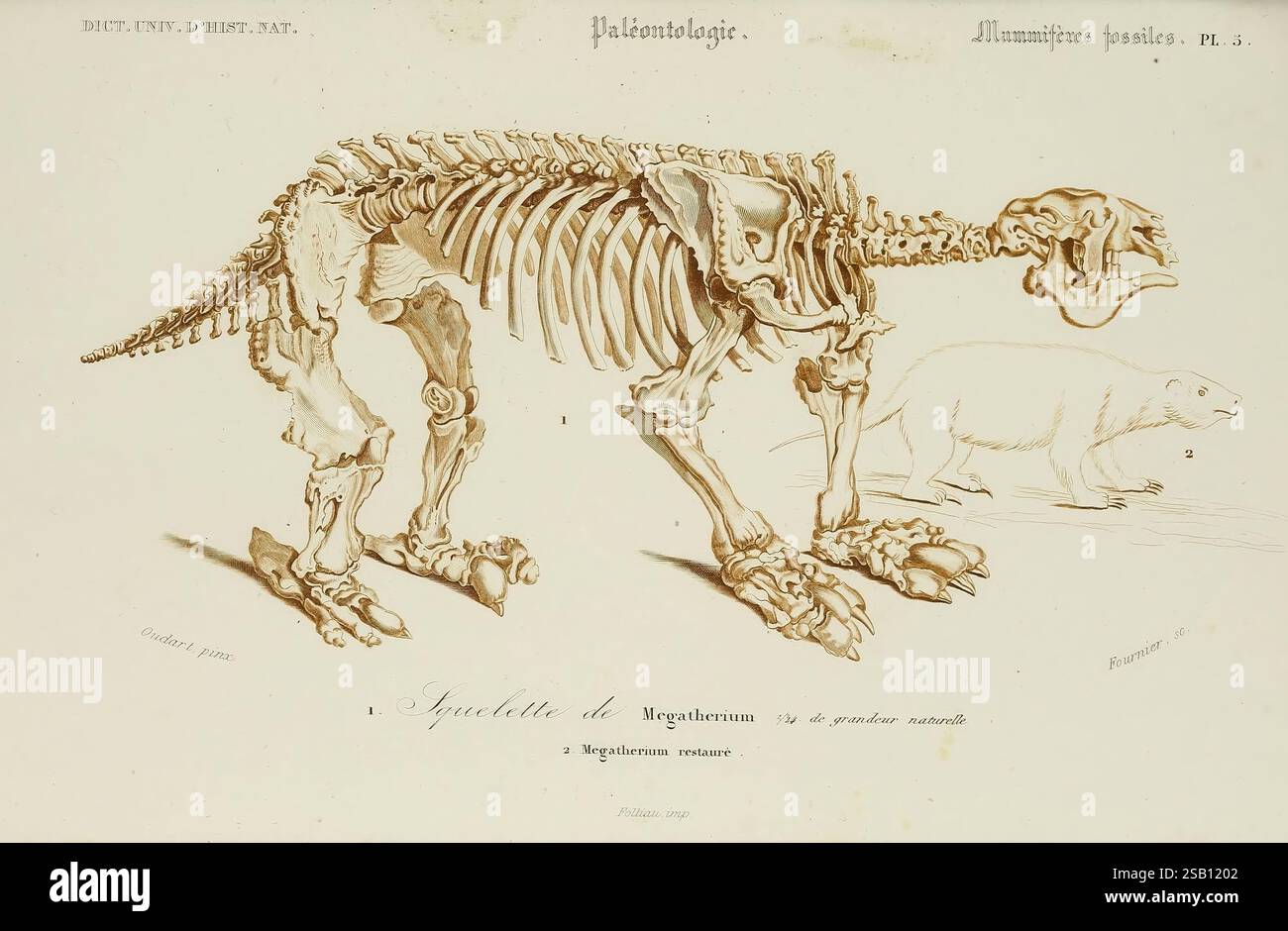 Corresponding life representation hi-res stock photography and images ...