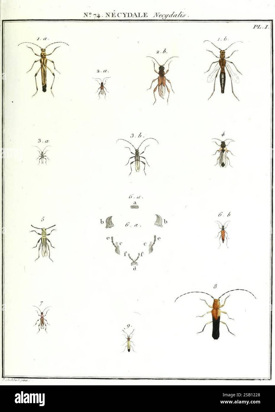 Entomologie ou Histoire naturelle des insectes, Paris, Imp. Baudouin ...