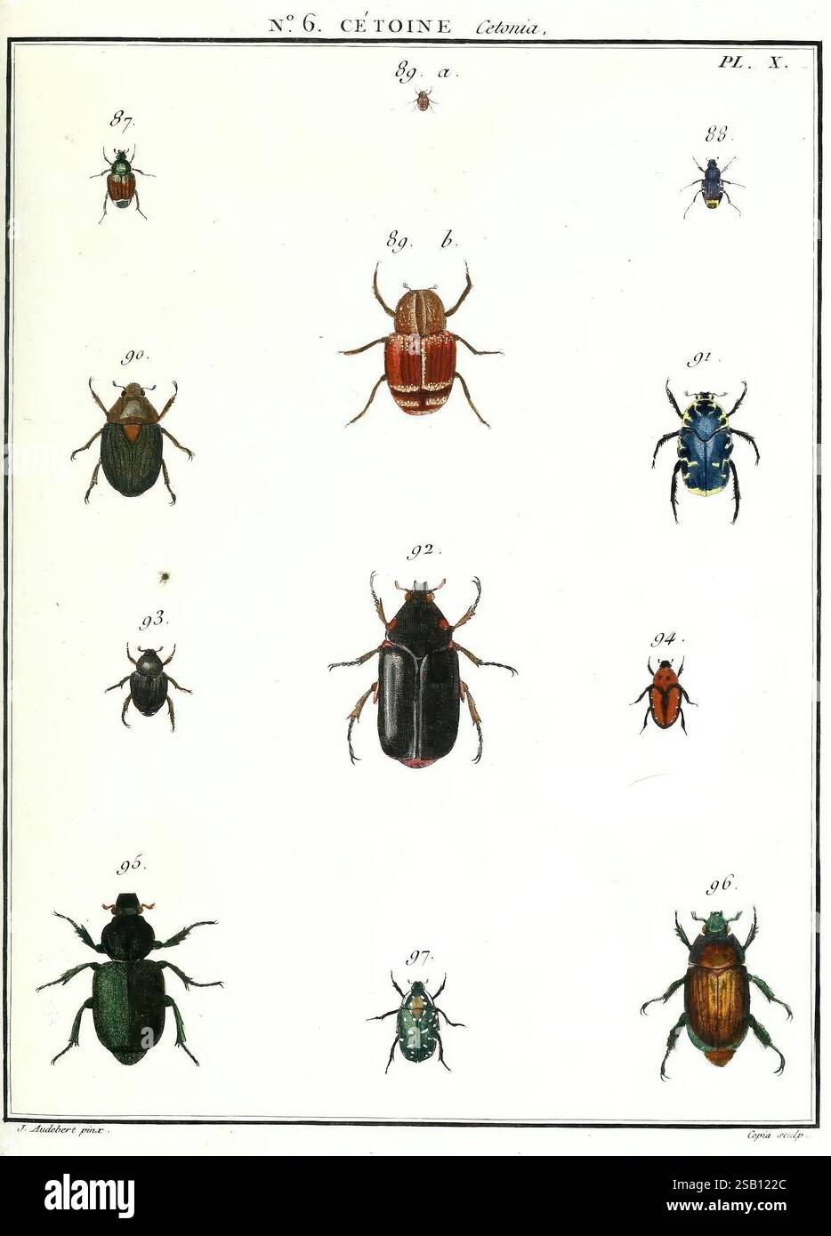 Entomologie ou Histoire naturelle des insectes, Paris, Imp. Baudouin ...