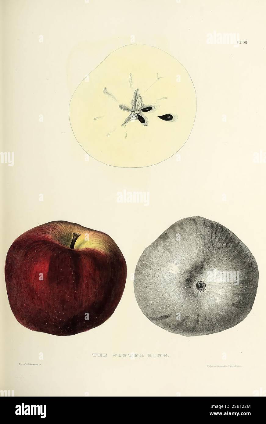 Subtle shadowing hi-res stock photography and images - Alamy