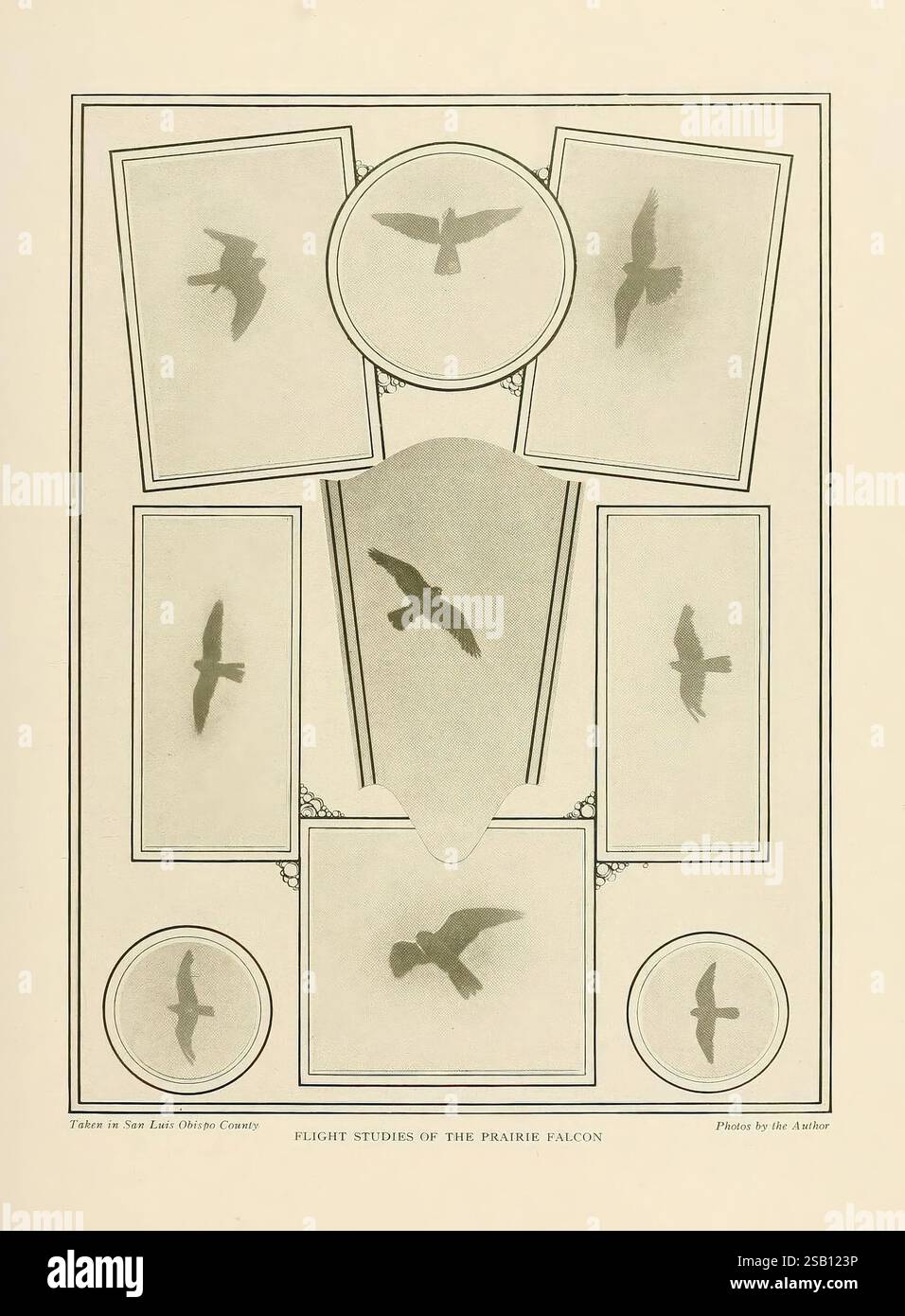 Composition captures movement hi-res stock photography and images - Alamy