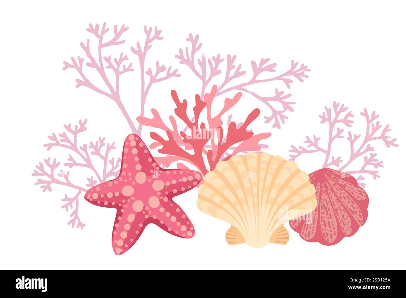 Colorful Marine Life An Illustration Featuring Coral, Shells, and ...