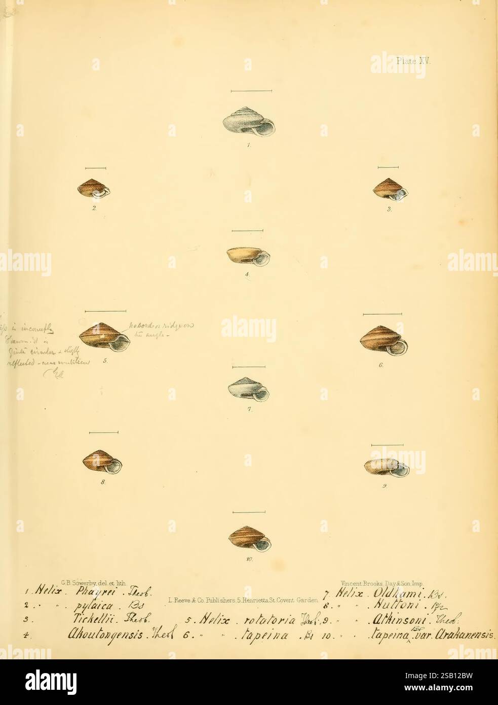 Labeled entry provides hi-res stock photography and images - Alamy