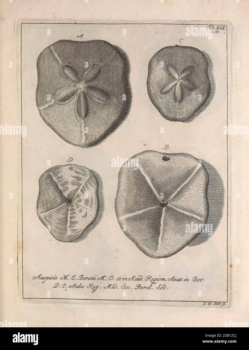 Four distinct artifacts hi-res stock photography and images - Alamy