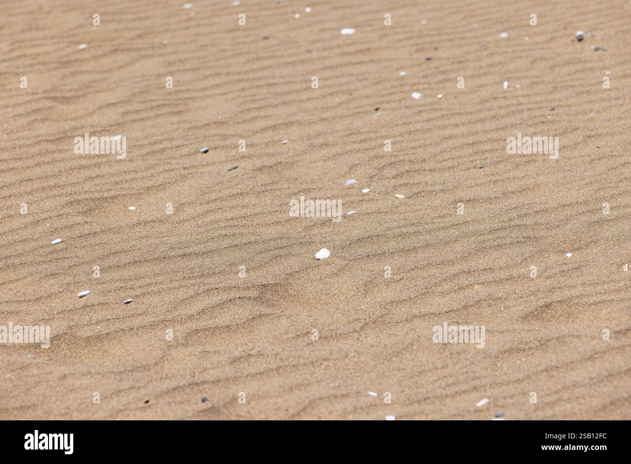 Sand ripples and small white stones, natural background photo with ...