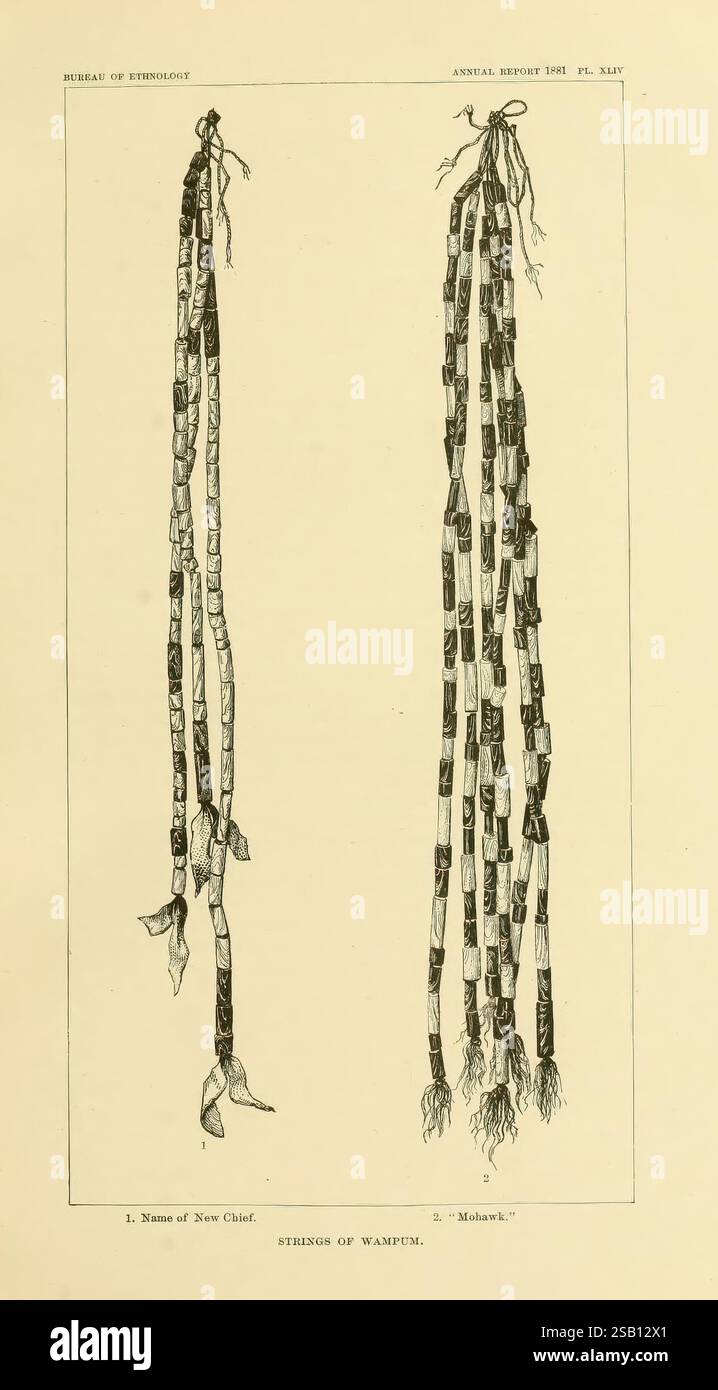 Displays several intertwined strands hi-res stock photography and ...