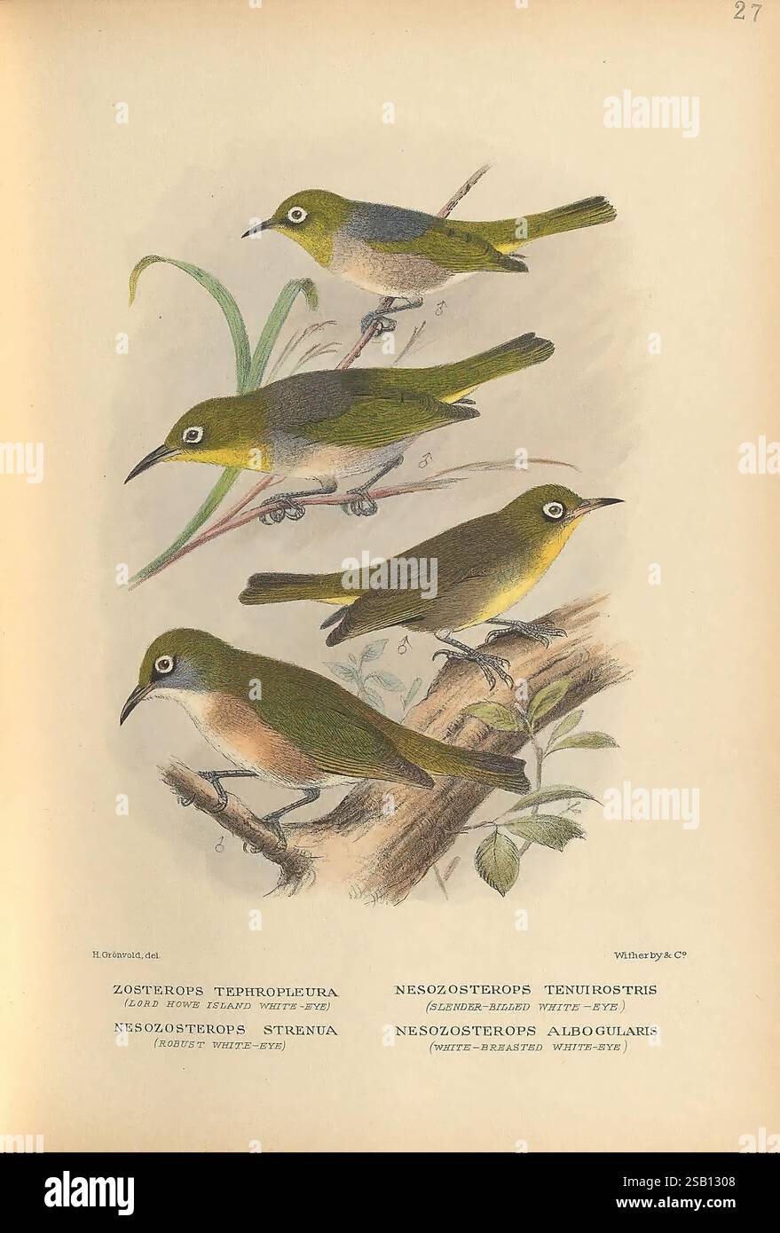 Signature white eye rings hi-res stock photography and images - Alamy