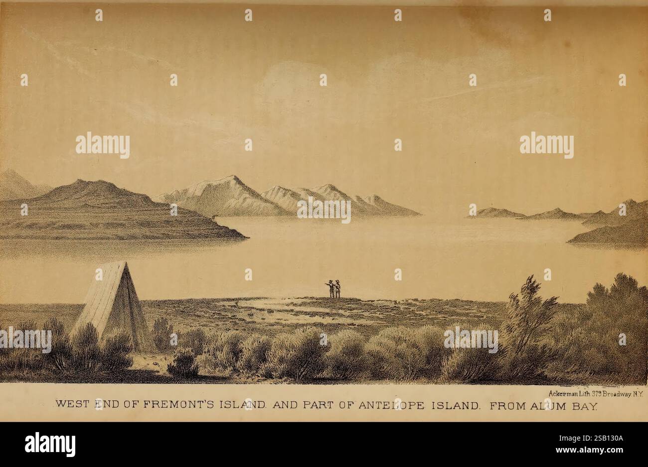 Vernons island hi-res stock photography and images - Alamy