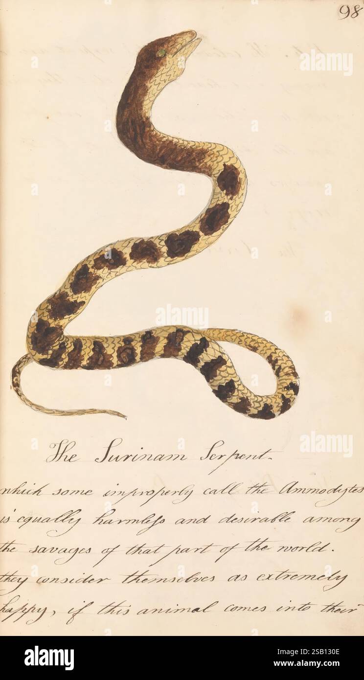 The Naturalists Companion, containing drawings with suitable ...