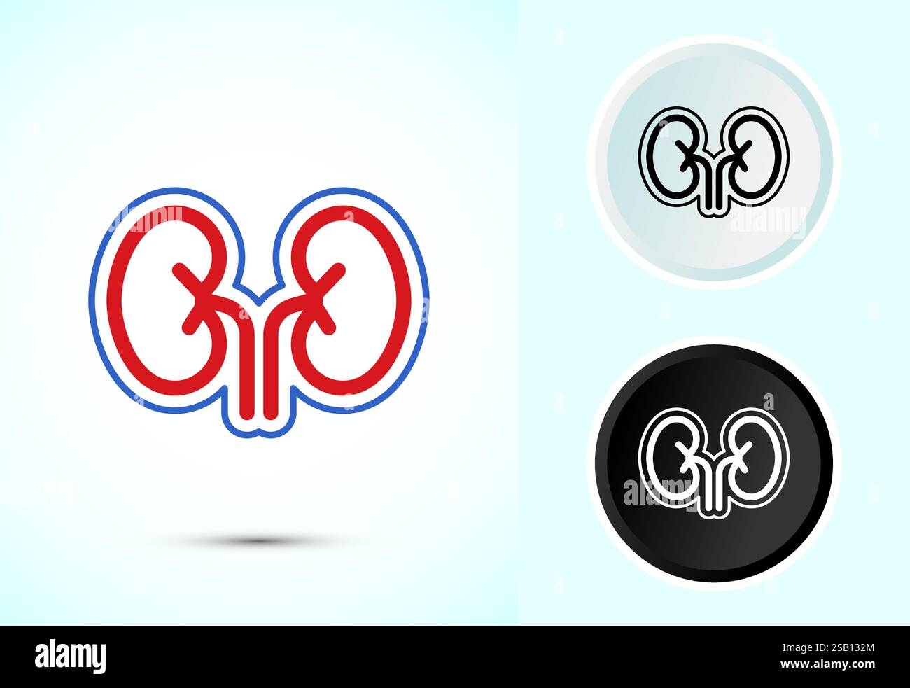 Kidney icon design illustration. Human organ icon, Kidney care logo ...