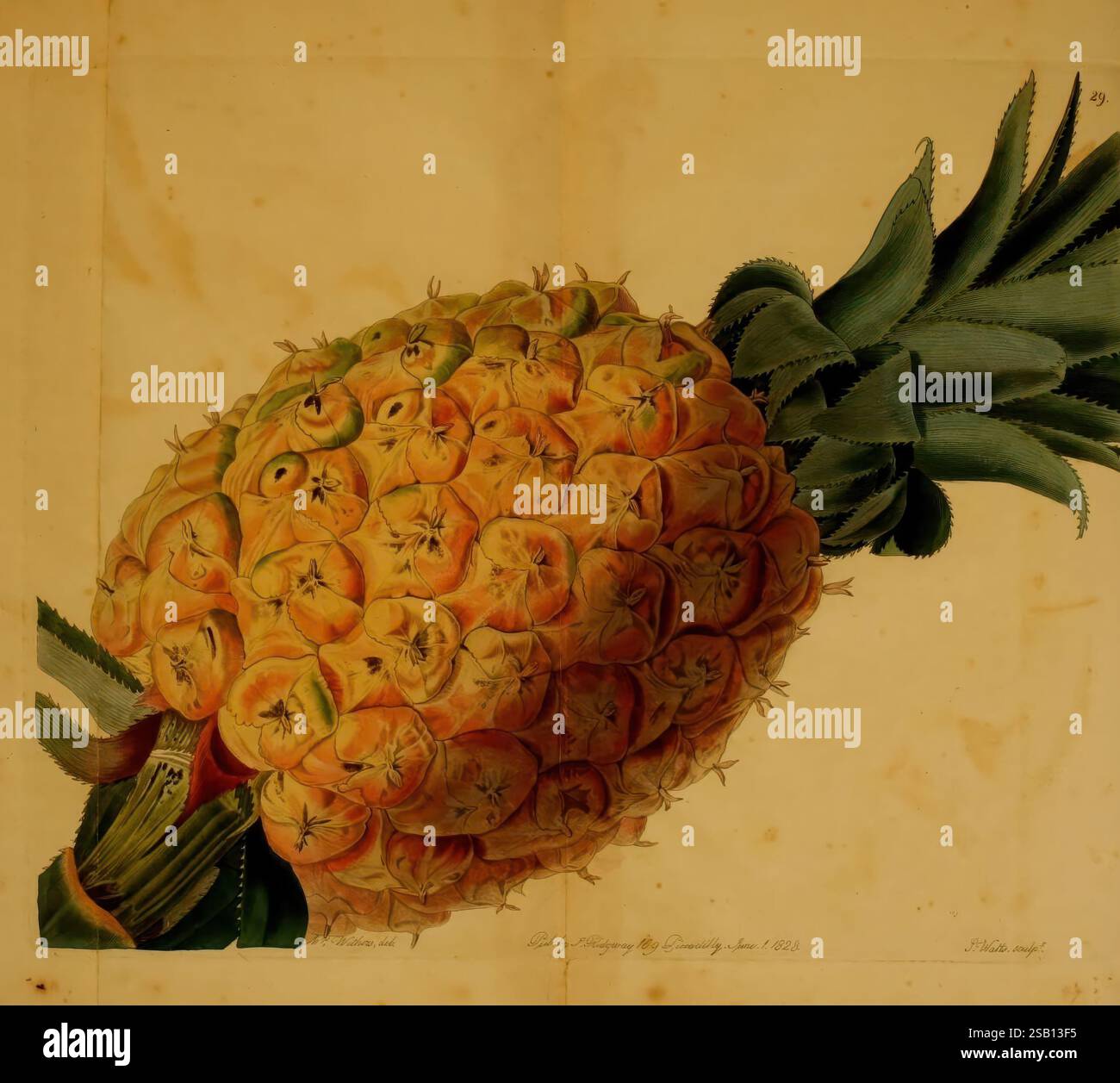 Color gradients enhance hi-res stock photography and images - Alamy