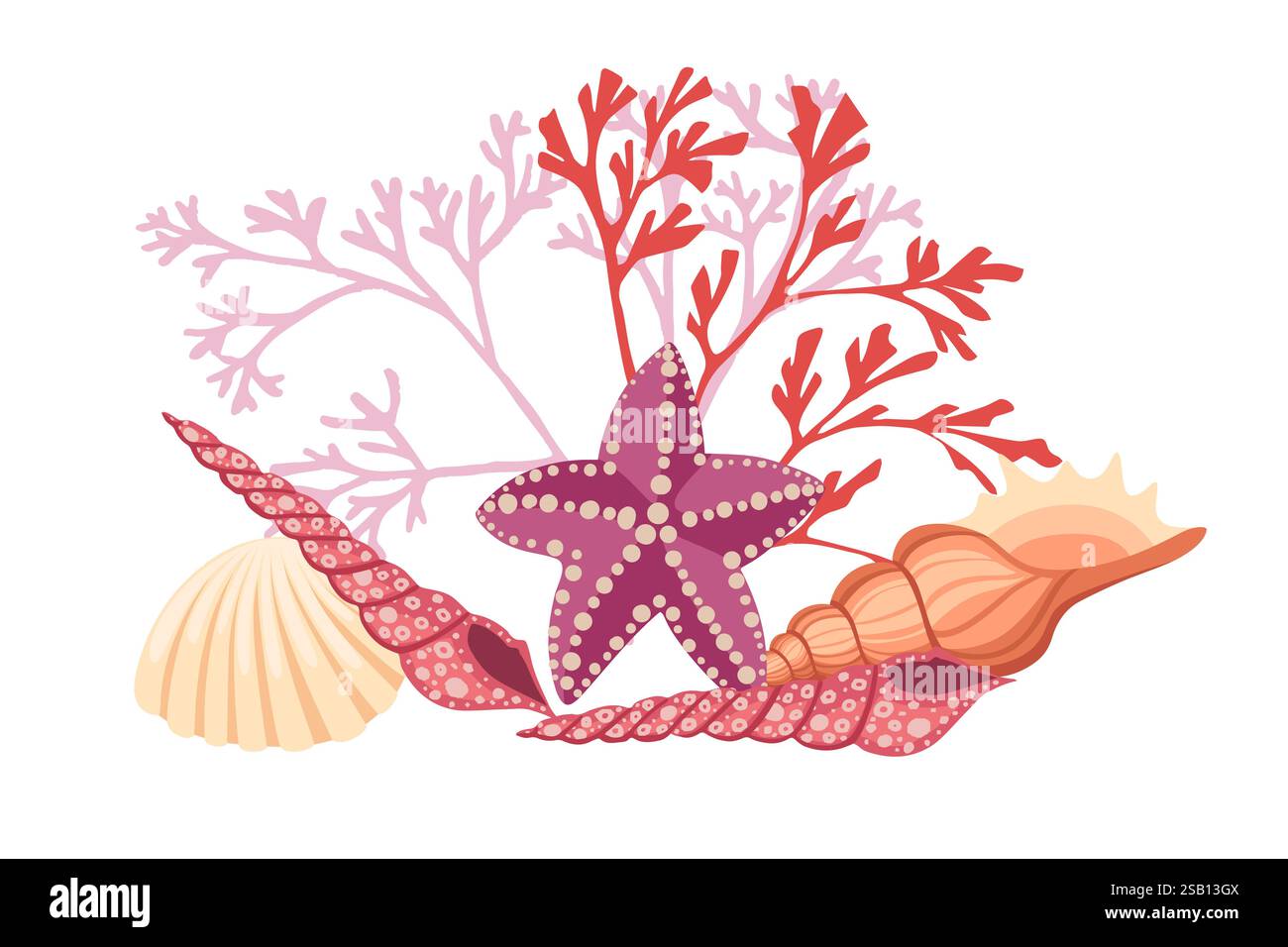 Colorful Marine Life An Illustration Featuring Coral, Shells, and ...