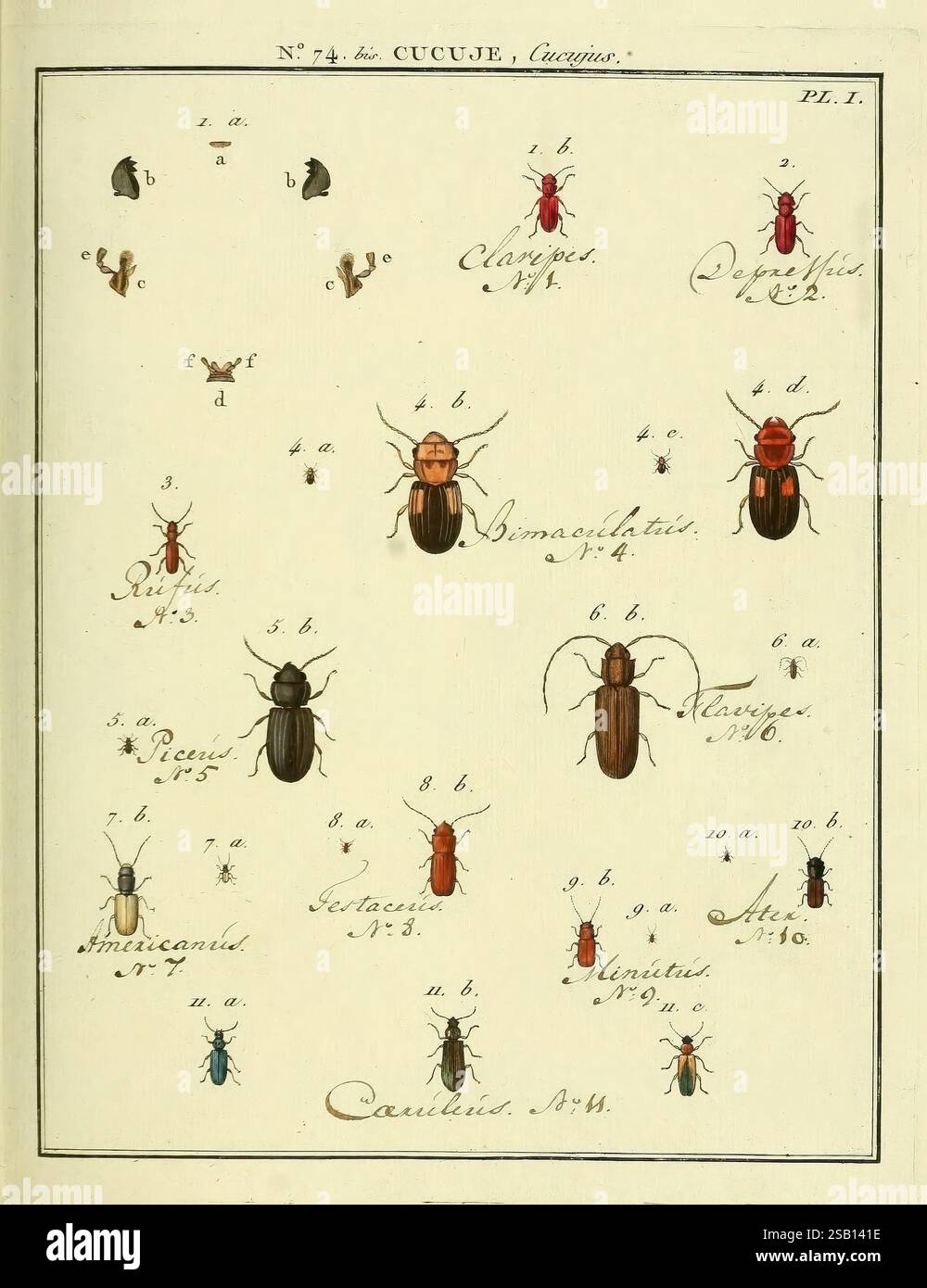 Entomologie, ou, Histoire naturelle des insectes, A Paris, De l ...