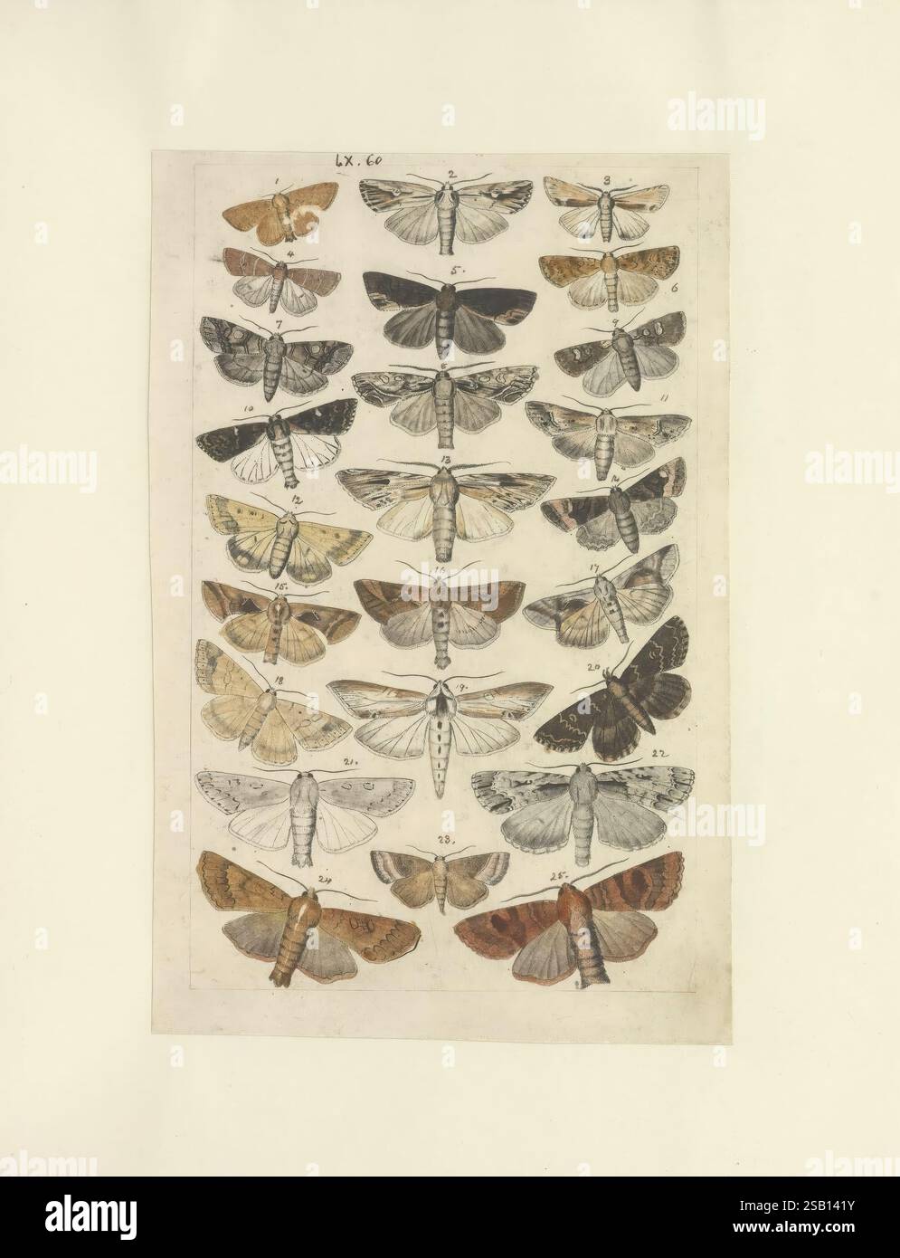 Top row features lighter hi-res stock photography and images - Alamy