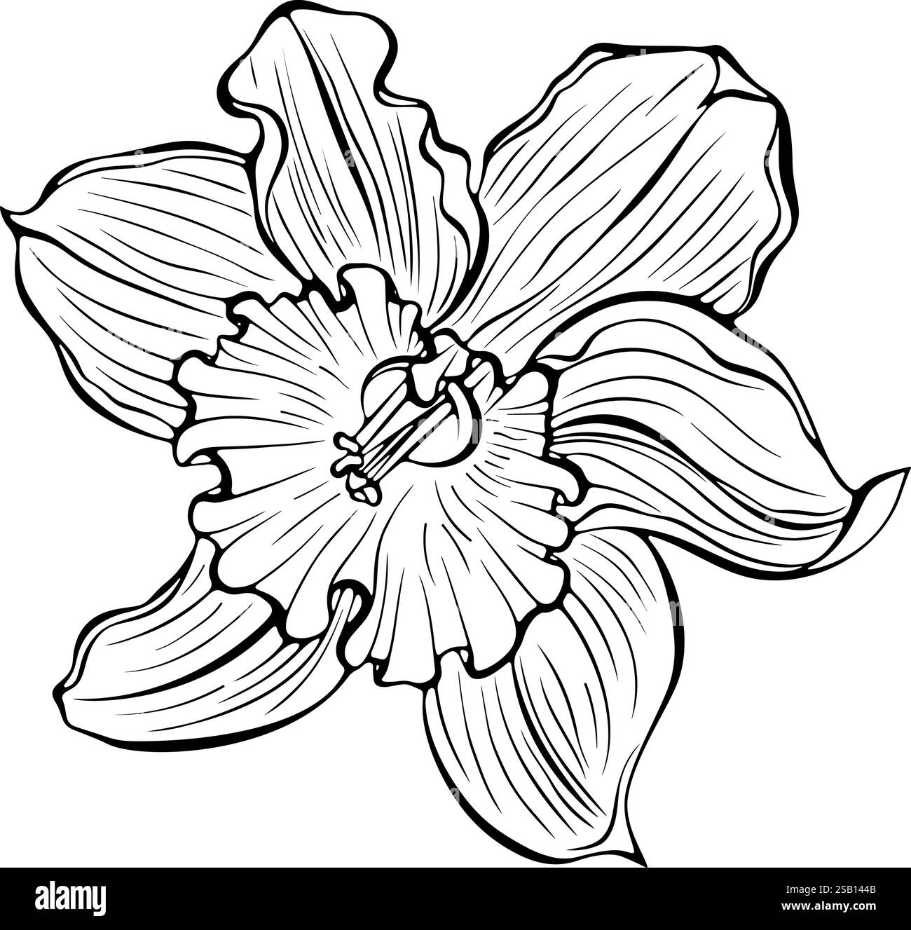 Close up blooming spring Stock Vector Images - Alamy