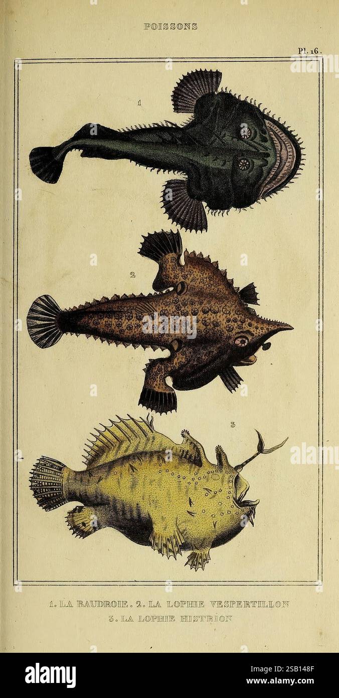 Oeuvres du comte de Lacépède, Paris, P. Duménil, 1836, natural history ...