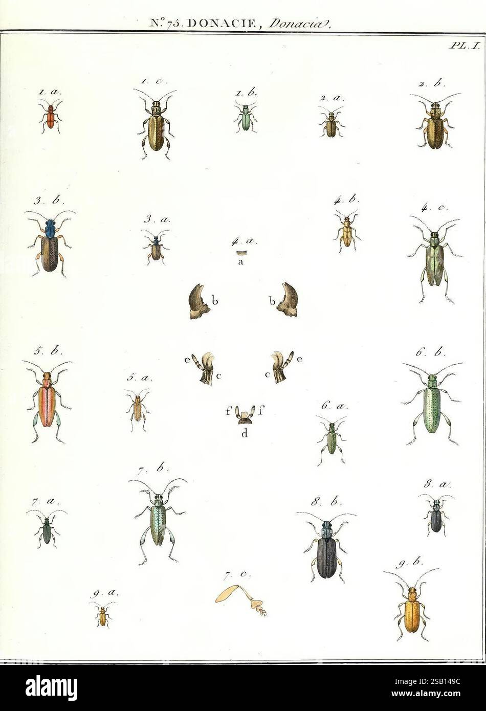 Individual labels identifying hi-res stock photography and images - Alamy