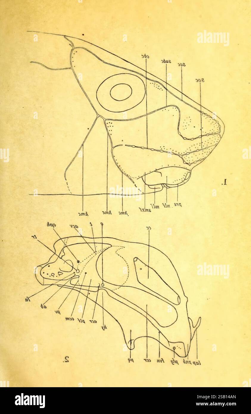 Proceedings of the Zoological Society of London, London, Academic Press ...