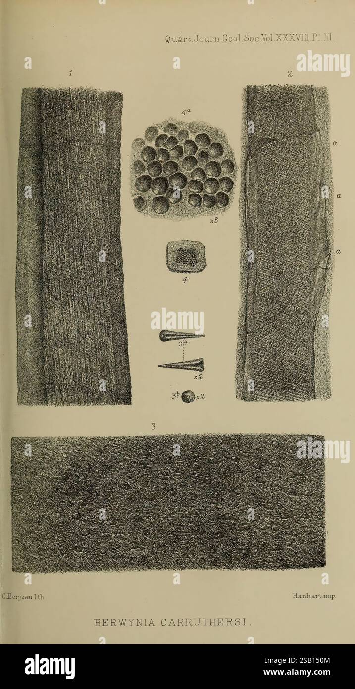 Closely packed structures labeled hi-res stock photography and images ...