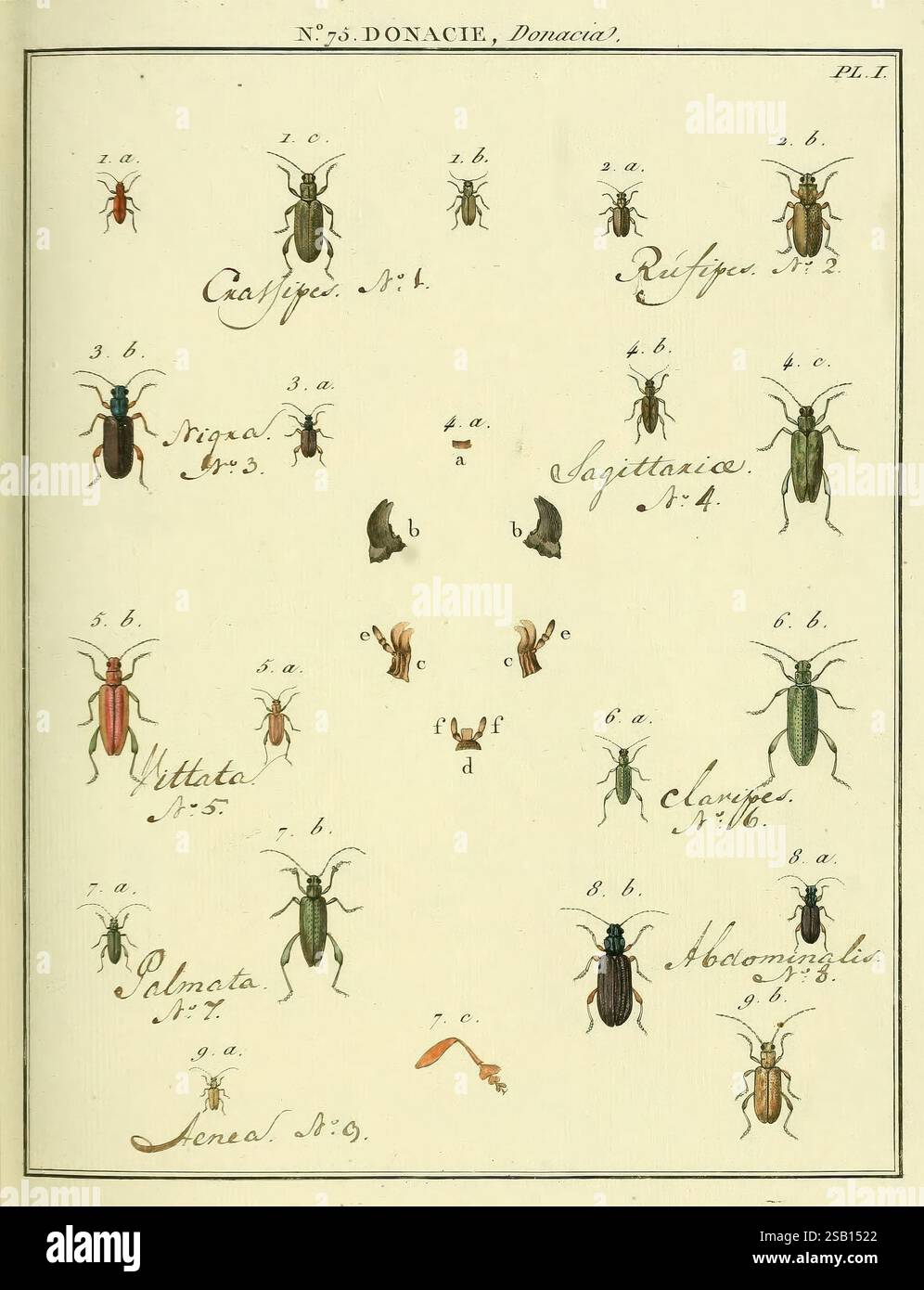 Entomologie, ou, Histoire naturelle des insectes, A Paris, De l ...