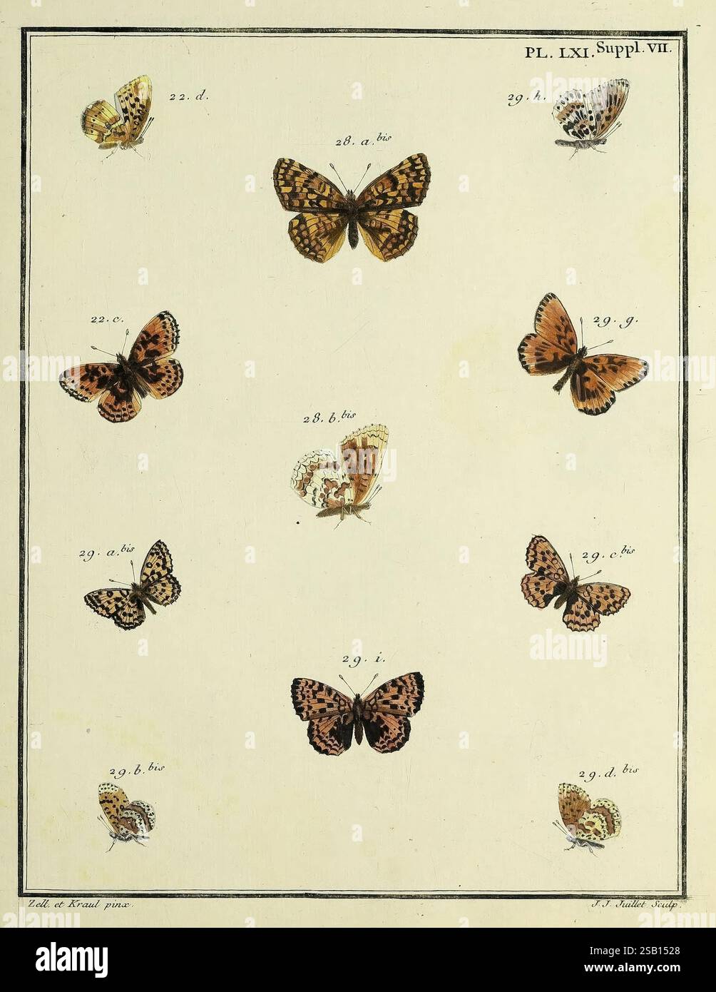 Papillons d'Europe, peints d'après nature, A Paris, Chez P.M ...