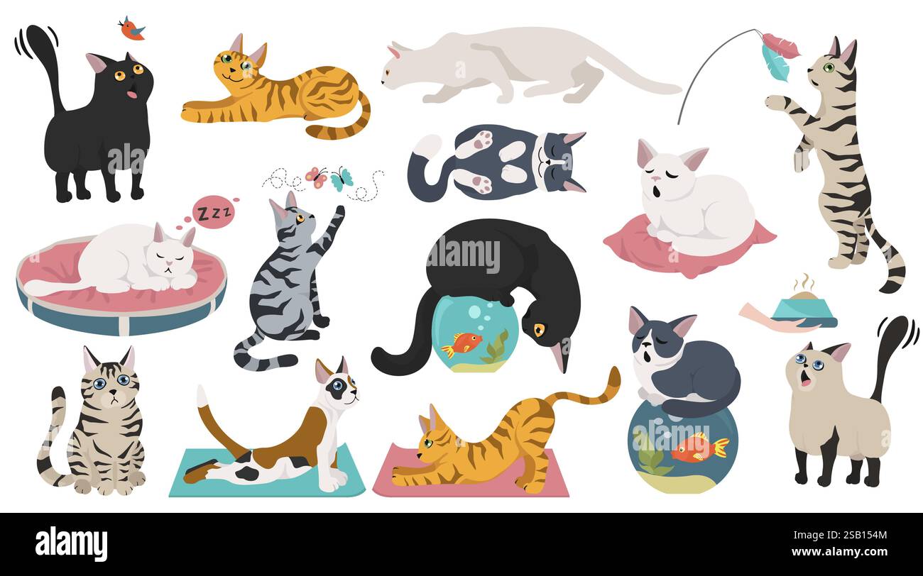 Cartoon cat characters collection. Different cat`s poses, yoga and ...