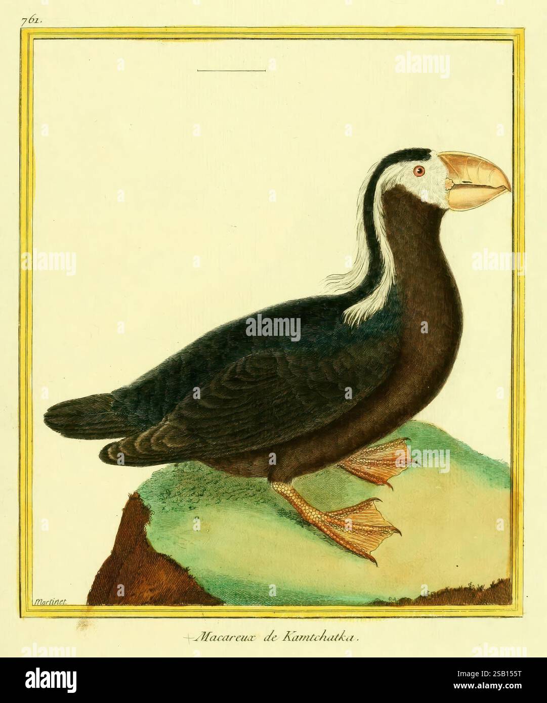 Macaron de kimbachts hi-res stock photography and images - Alamy