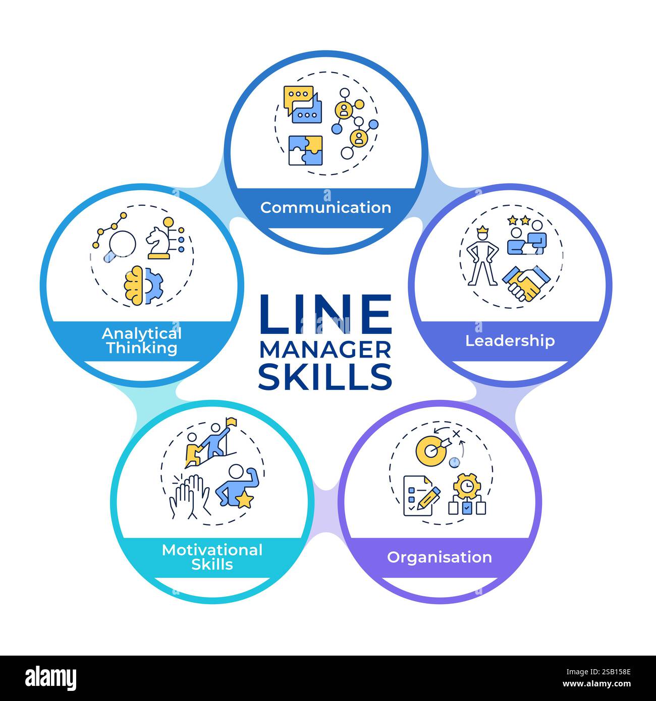 Line manager skills infographic circles flowchart Stock Vector Image & Art - Alamy