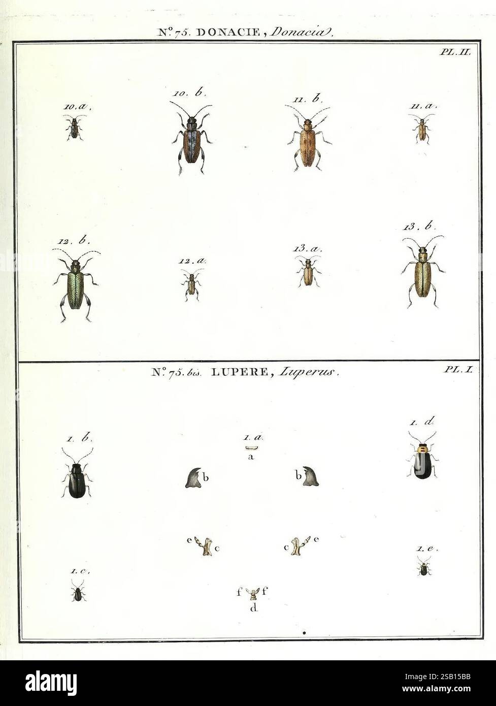 Entomologie ou Histoire naturelle des insectes, Paris, Imp. Baudouin ...