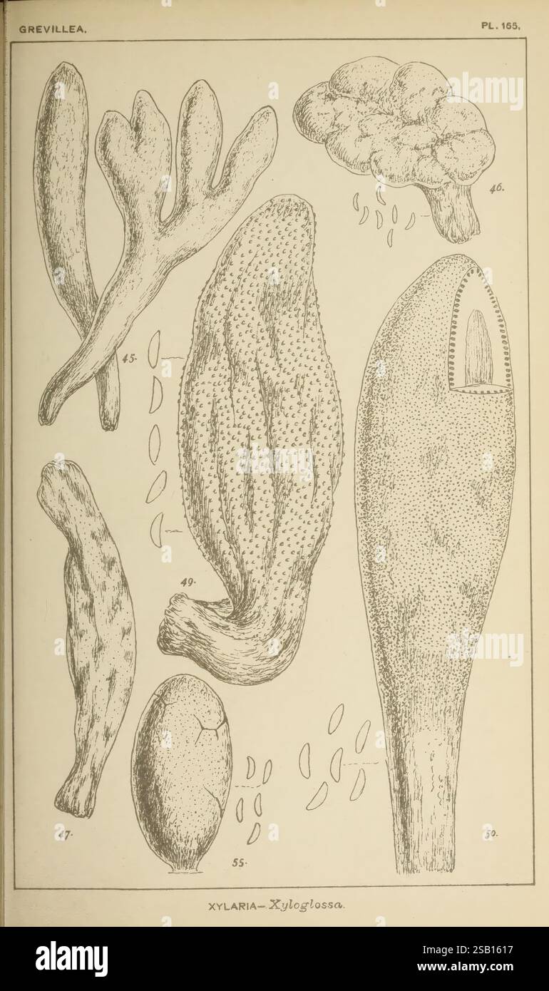 Irregularly shaped structures hi-res stock photography and images - Alamy